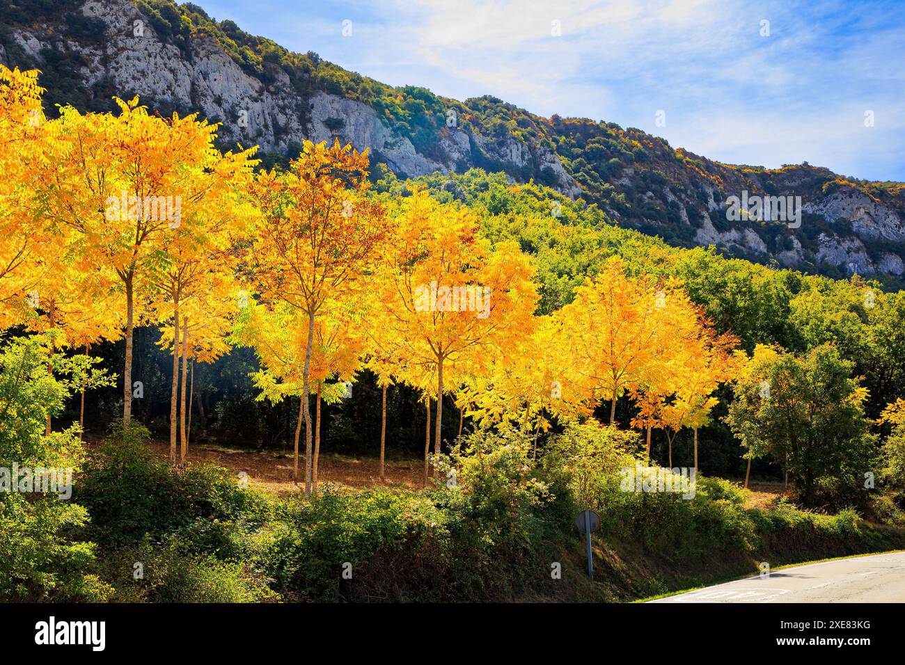 Tolosa spain road hi-res stock photography and images - Alamy