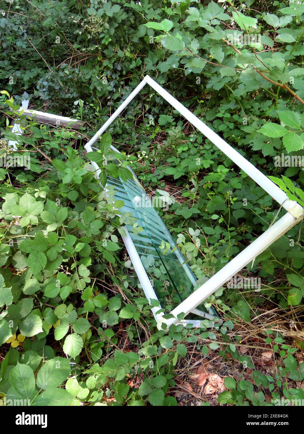 ...gib uns unseren taeglichen Sperrmuell in Hecken, Bueschen und ...