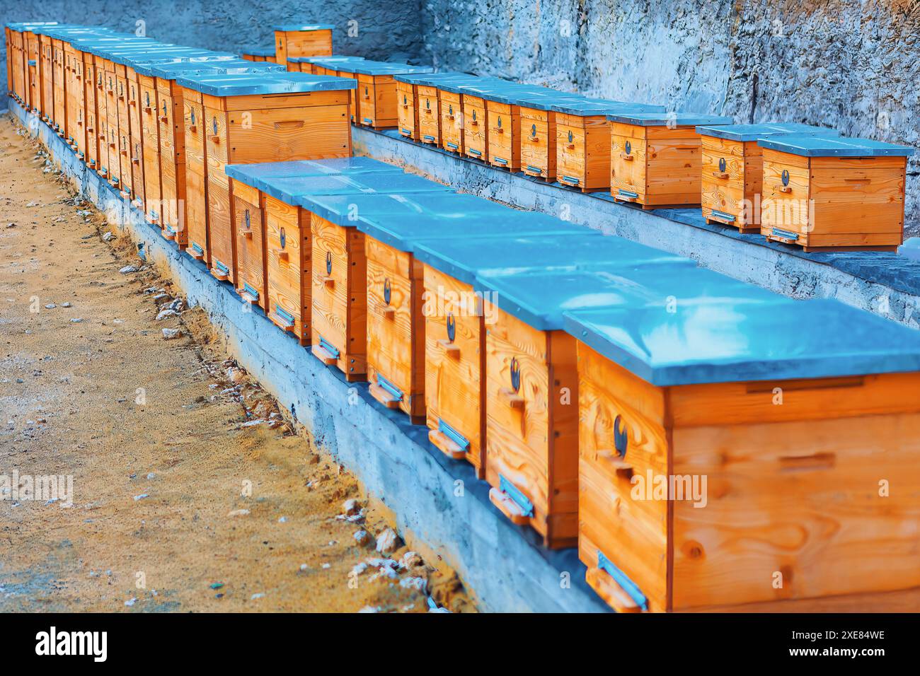 Row of wooden bee hives are lined up in village. The hives are all the ...