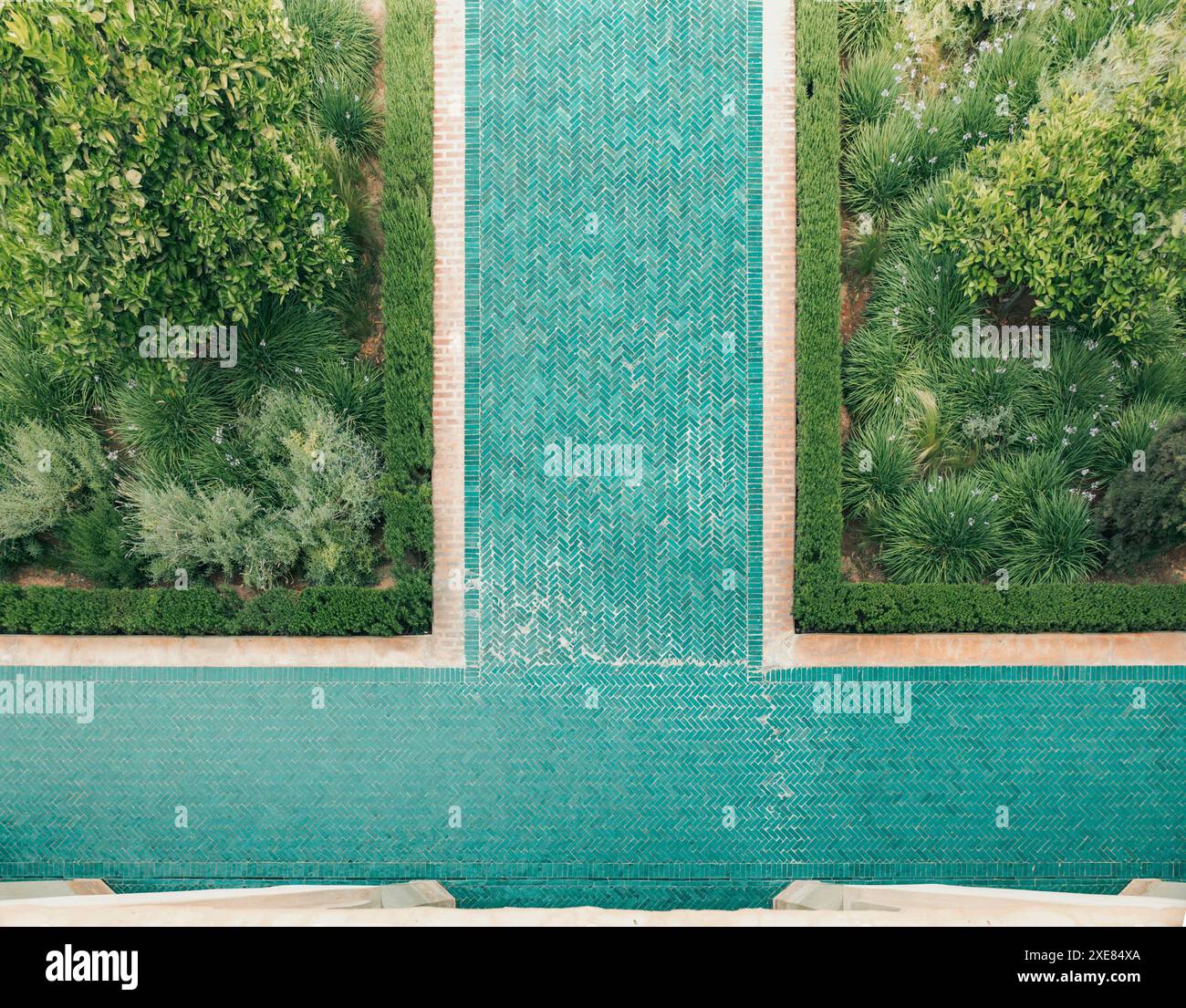 Aerial view of lush tropical botanical garden path, green tiles, green ...