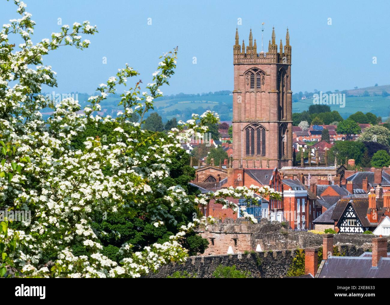 St Laurence's Church seen from Whitcliffe Common, Ludlow, Shropshire ...