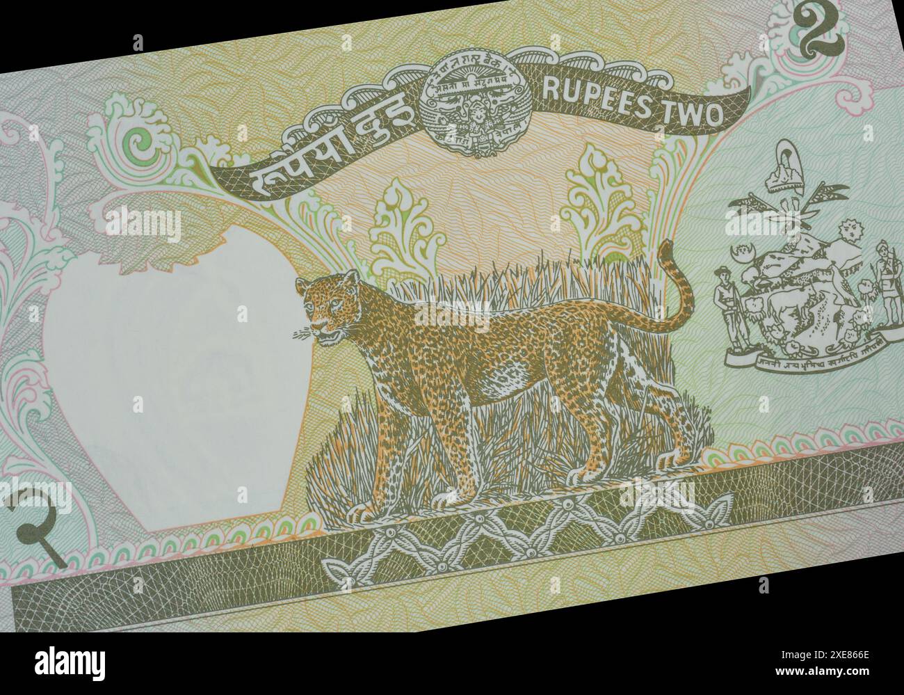 2 Rupees banknote printed by Nepal, that shows Spotted Leopard and ...