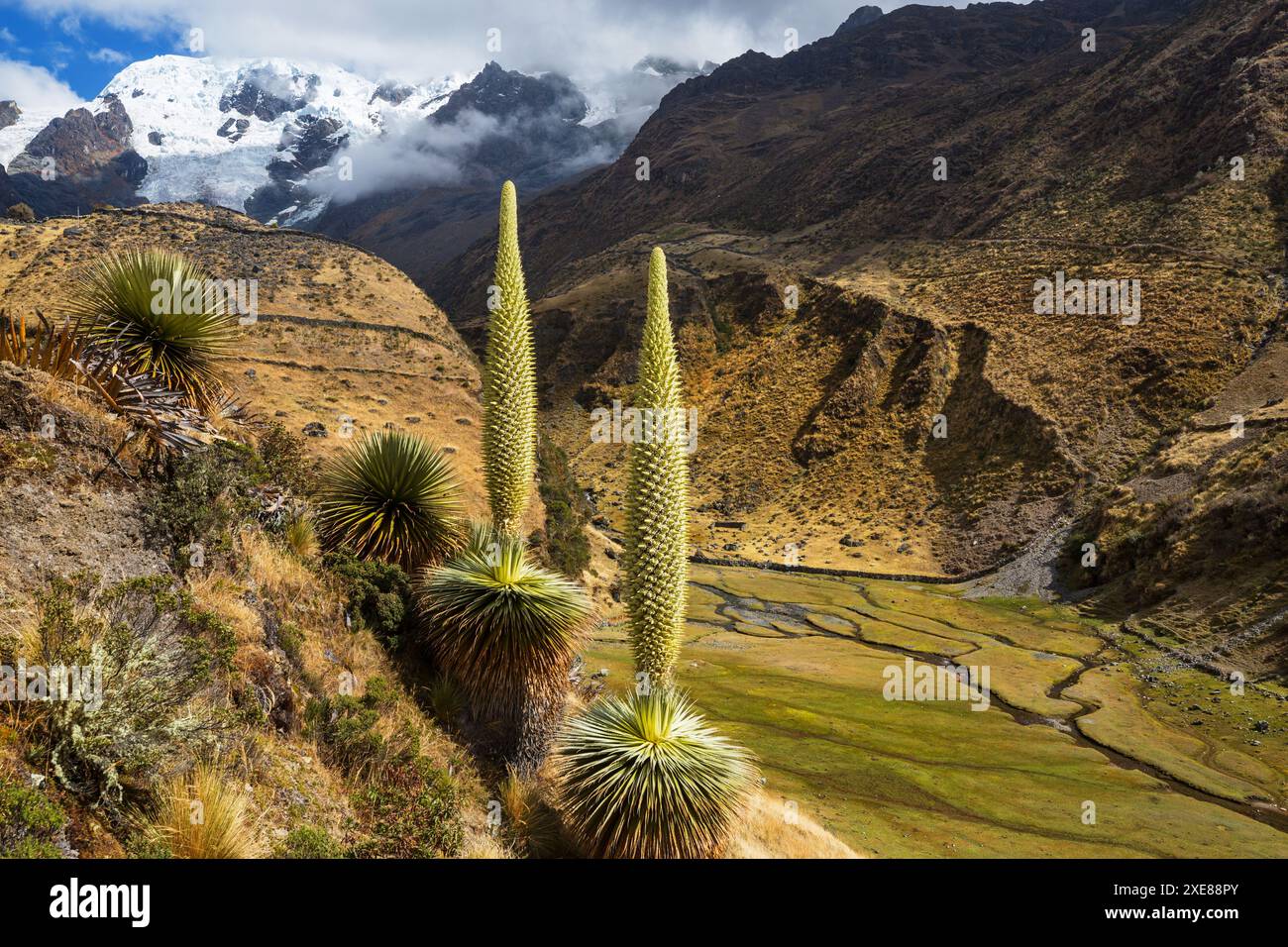 Fantastic landscape in the Peruvian Andes, South America, Peru Stock ...