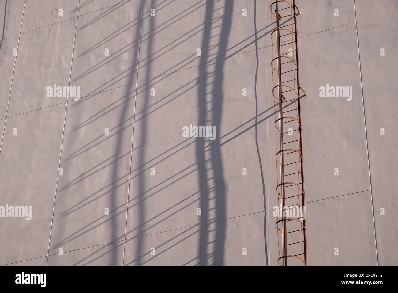 tall building facade featuring a metal ladder casting long shadows ...