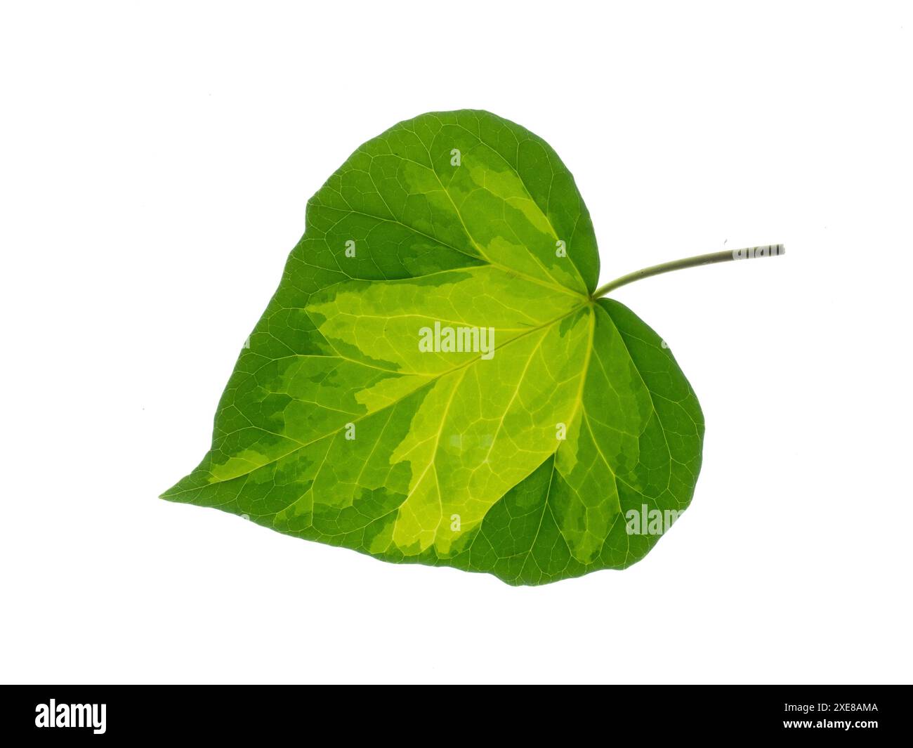 Background pattern shapes Cut Out Stock Images & Pictures - Alamy