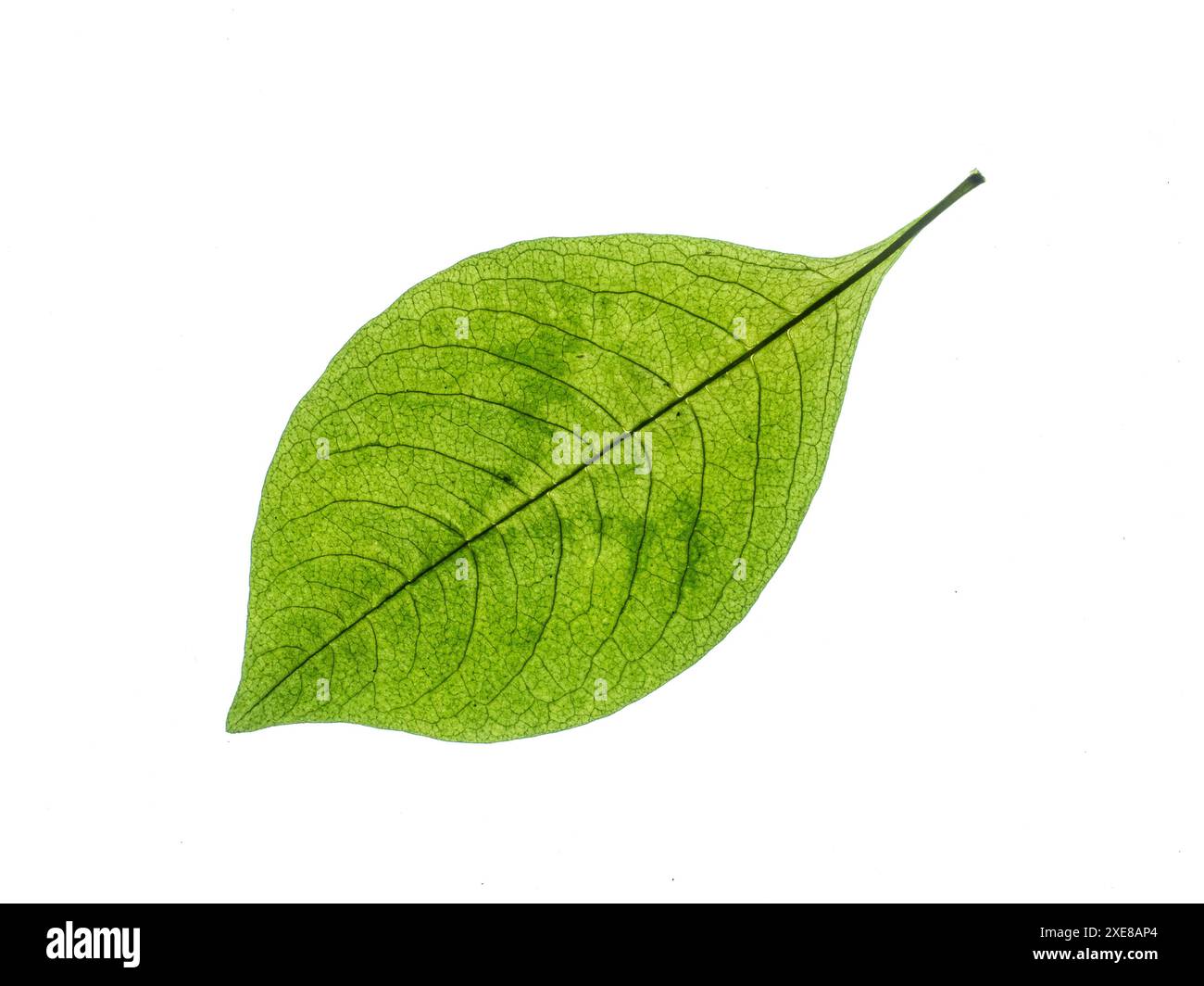 Background pattern shapes Cut Out Stock Images & Pictures - Alamy