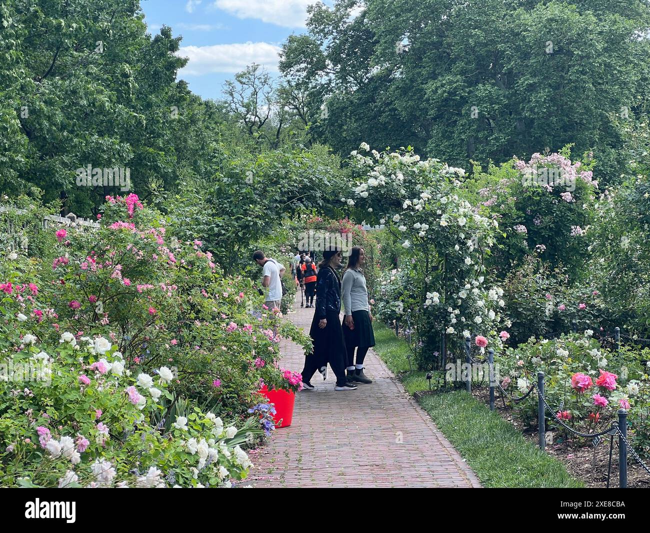 Visitors at the Brooklyn Botanic Garden enjoy the well known Cranford ...