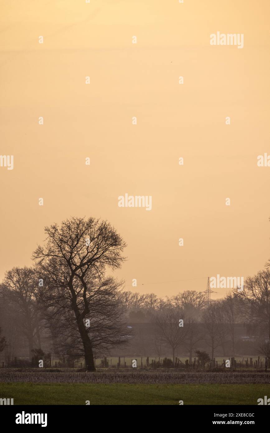 People interaction silhouettes hi-res stock photography and images - Alamy