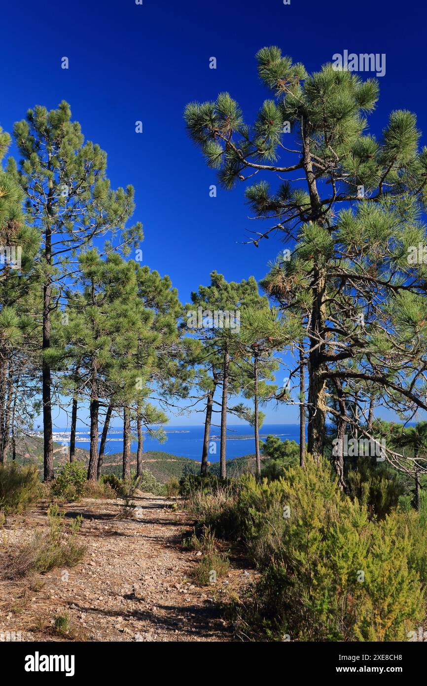 Top view above the French Riviera from the Mont Saint Martin, Esterel ...
