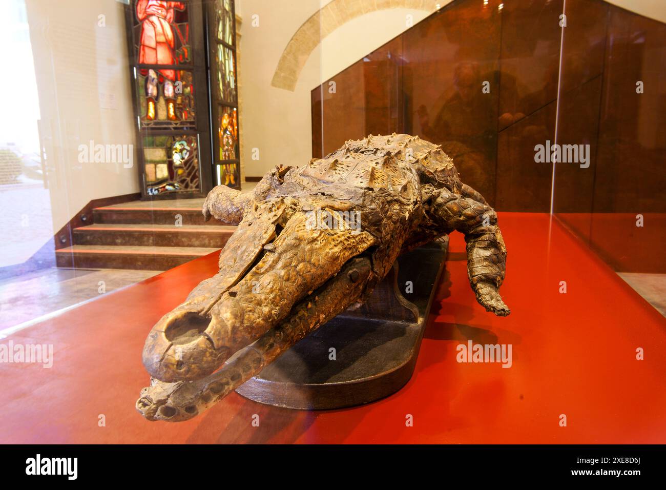 Cult crocodile hi-res stock photography and images - Alamy
