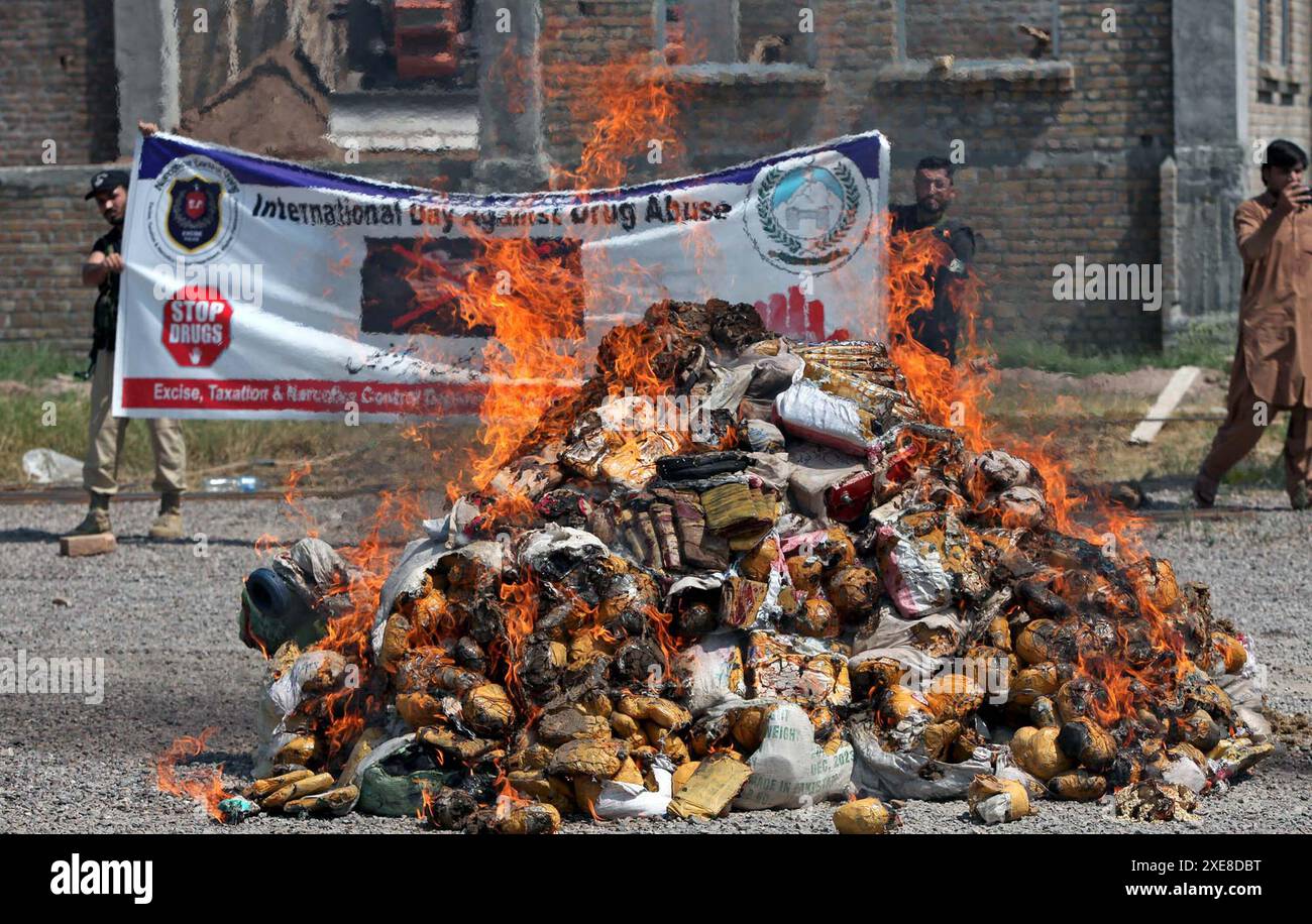 Anti-Narcotics Force (ANF) officials stand alert near burning pile of ...