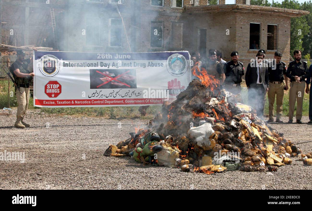 Anti-Narcotics Force (ANF) officials stand alert near burning pile of ...