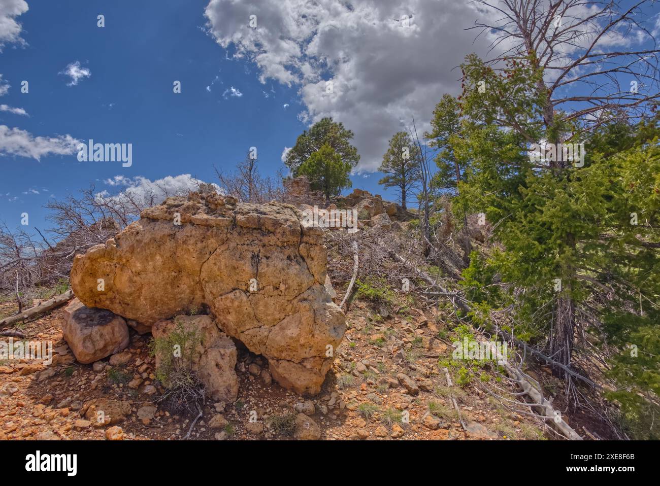 View from below the edge of Atoko Point on the North Rim of Grand ...