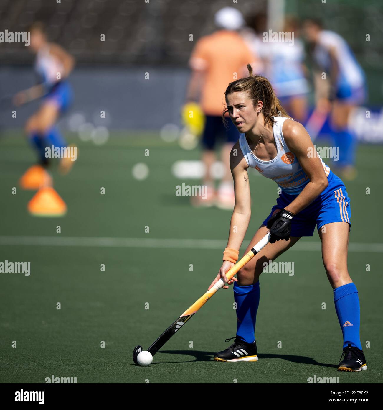 Wagener stadium dutch national team women hi-res stock photography and ...