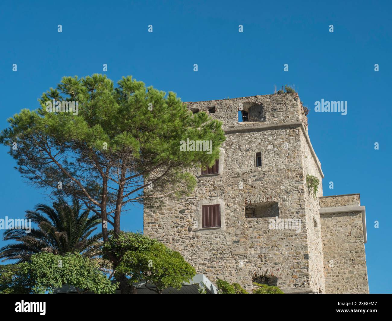 Old stone tower - Torre Aurora with tree against blue sky. Monterosso ...