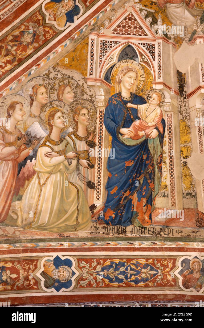 ASSISI, ITALY - MAY 17, 2024: The detail of gothic ceiling fresco ...