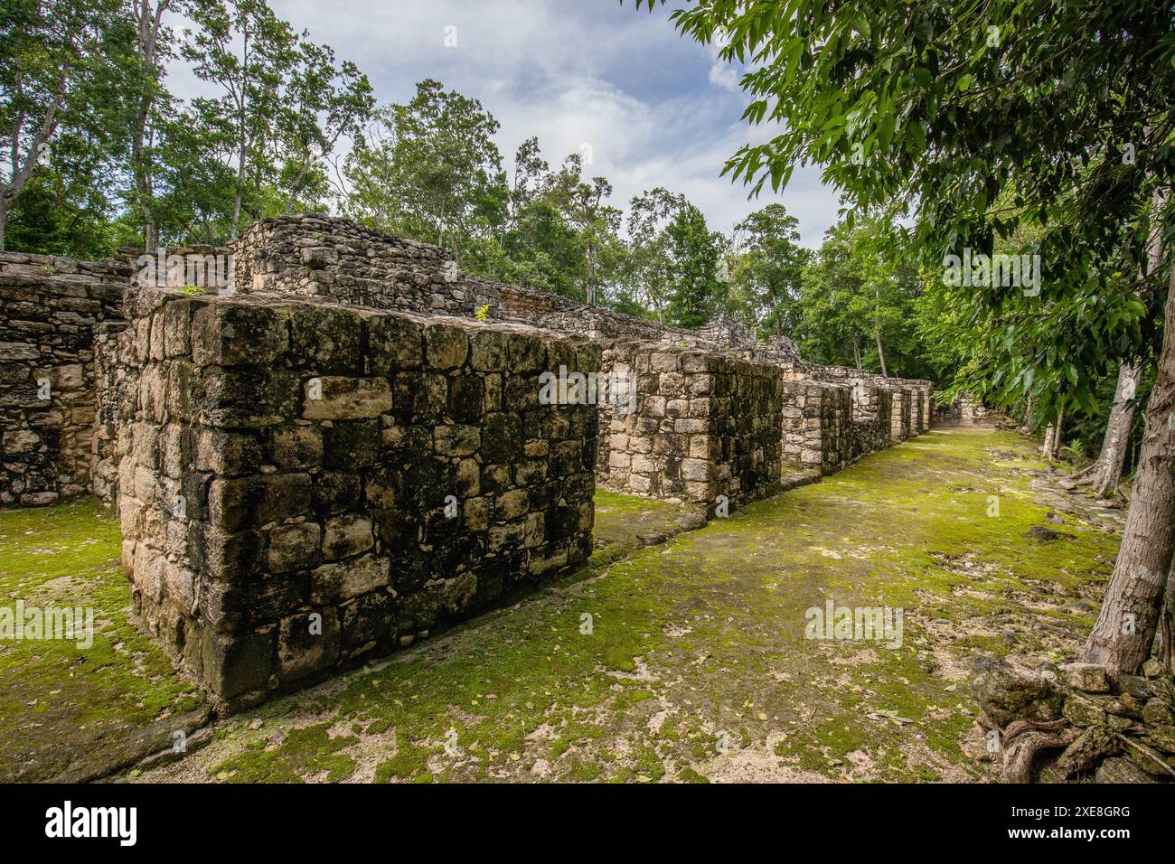 Calakmul, a Maya archaeological site in the deep in the jungles in ...