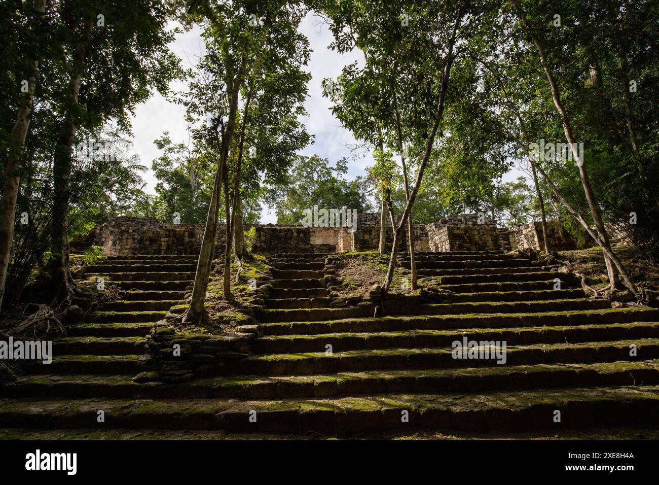 Calakmul, a Maya archaeological site in the deep in the jungles in ...