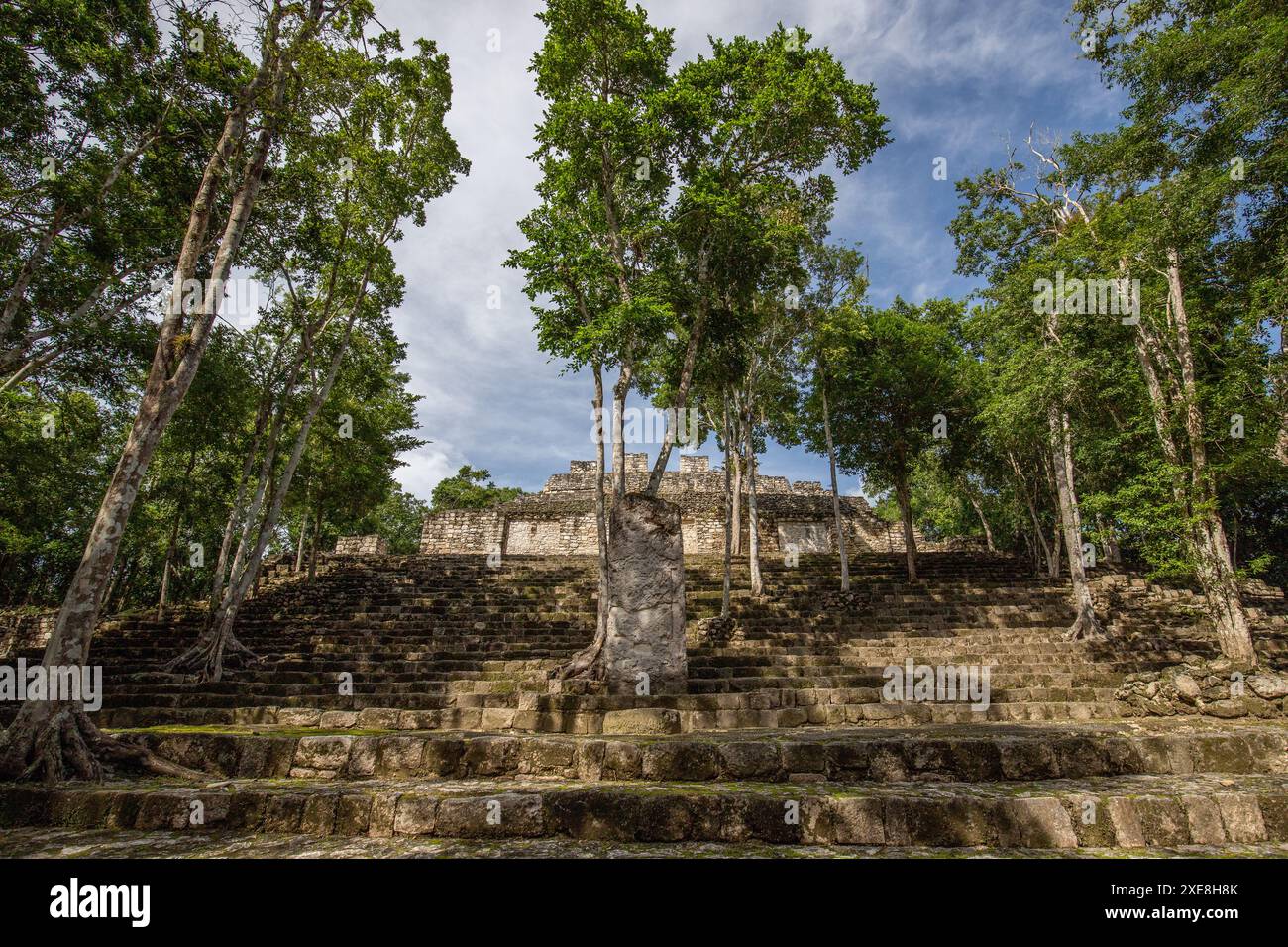 Calakmul, a Maya archaeological site in the deep in the jungles in ...