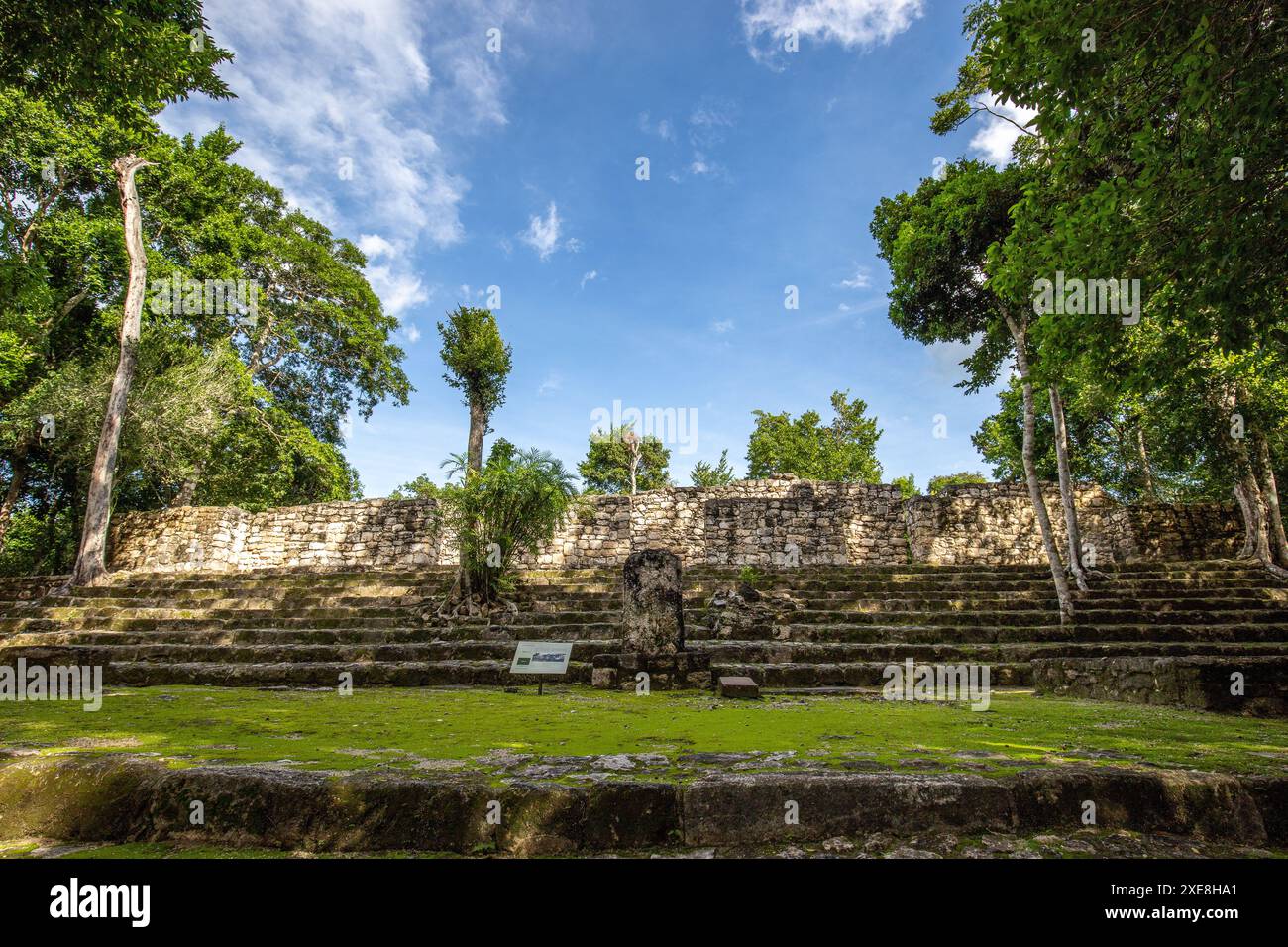 Calakmul, a Maya archaeological site in the deep in the jungles in ...