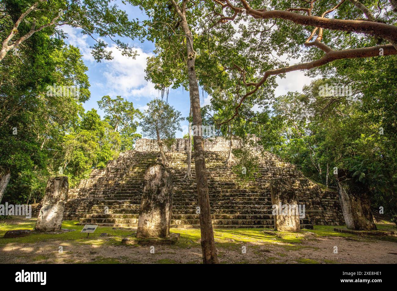 Calakmul, a Maya archaeological site in the deep in the jungles in ...