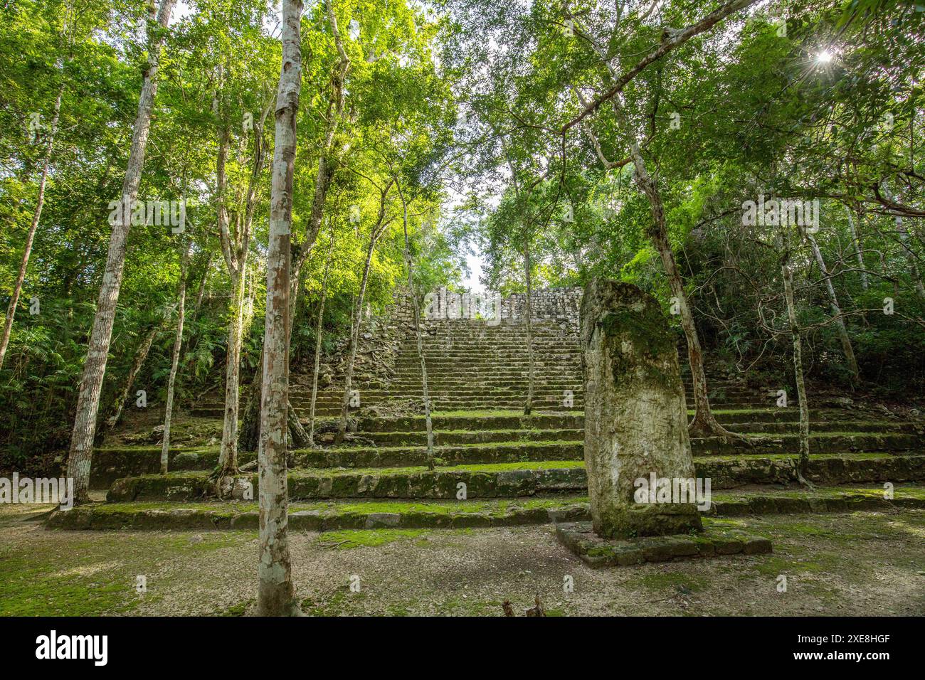 Calakmul, a Maya archaeological site in the deep in the jungles in ...