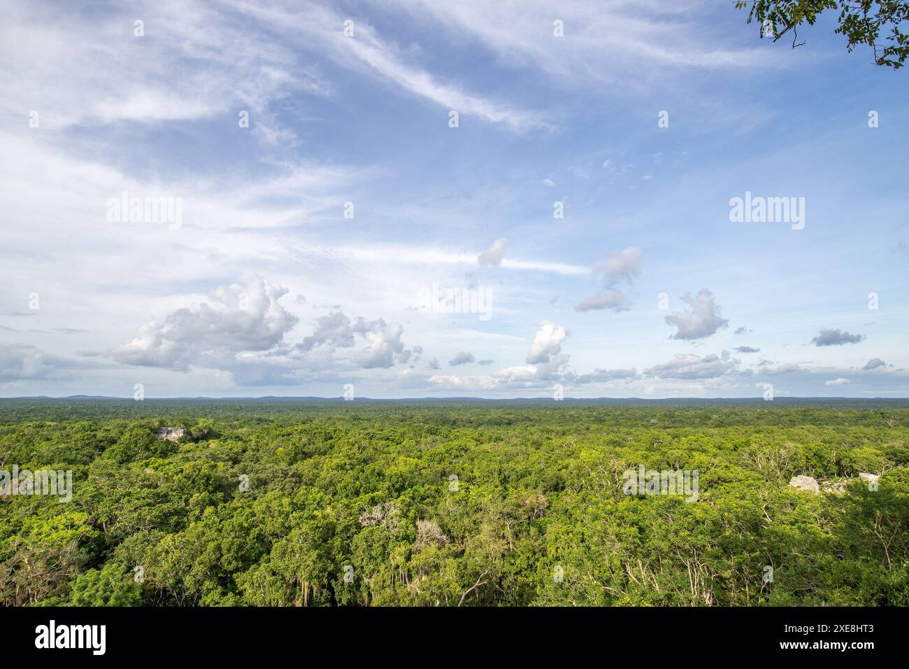 Calakmul, a Maya archaeological site in the deep in the jungles in ...