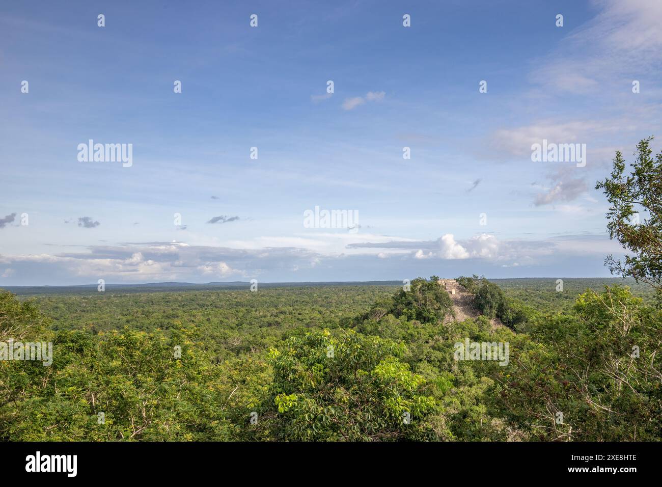Calakmul, a Maya archaeological site in the deep in the jungles in ...