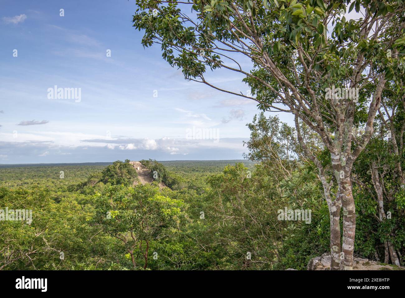 Calakmul, a Maya archaeological site in the deep in the jungles in ...
