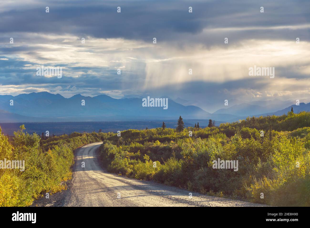 Arctic tundra landscape in Alaska, USA Stock Photo - Alamy