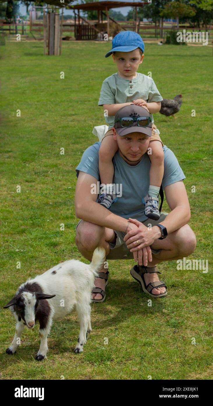 Dad and child interact with goats and hens at the zoo. Contact rural ...