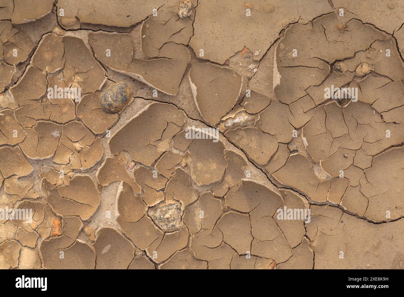 Mud layer hi-res stock photography and images - Alamy