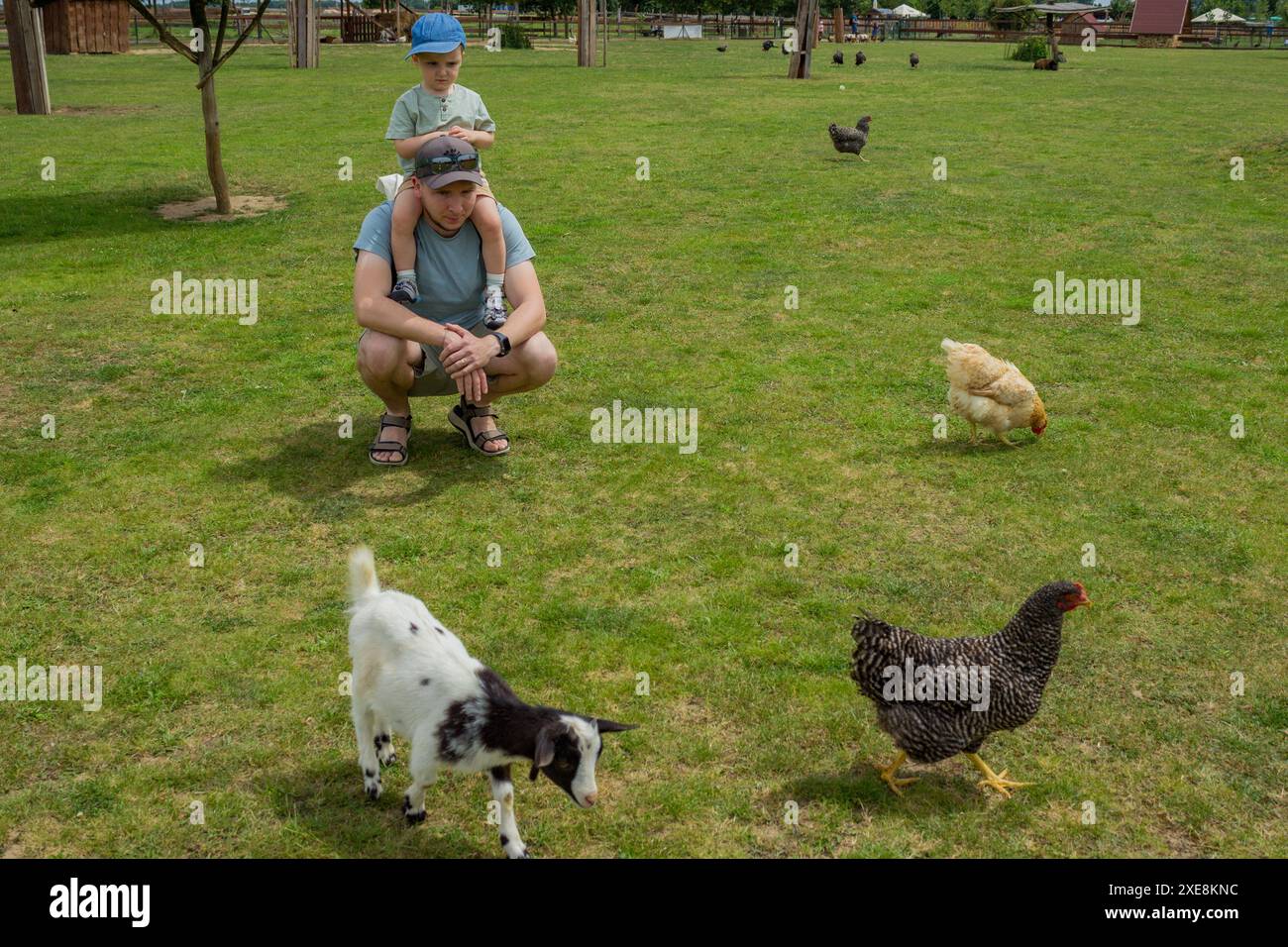 Dad and child interact with goats and hens at the zoo. Contact rural ...