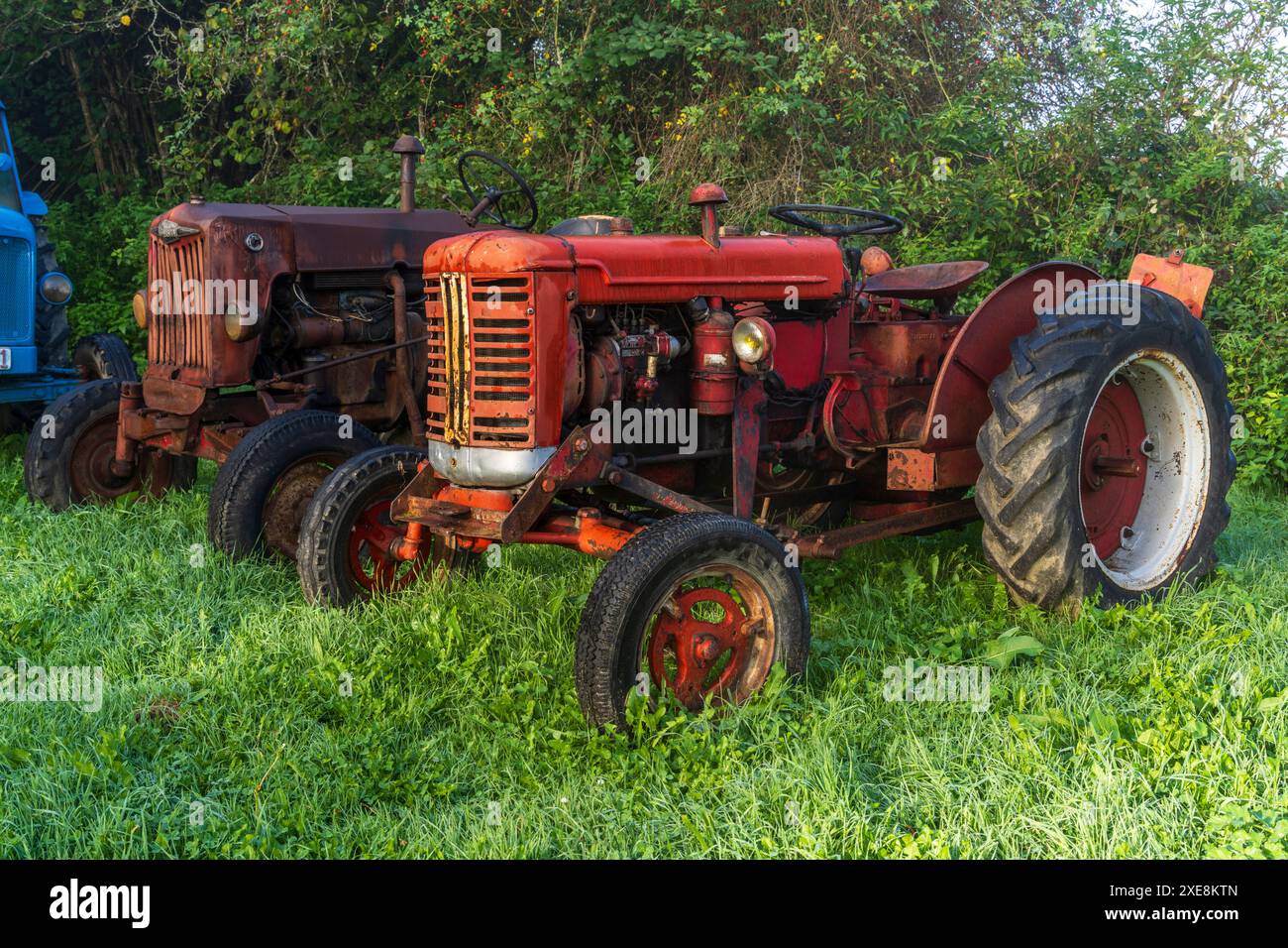 Old farm tractor Stock Photo - Alamy