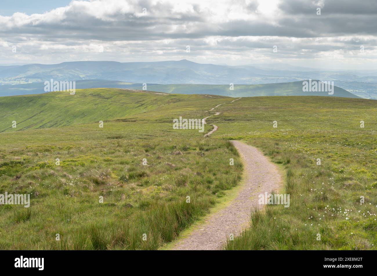 Made up path to Waun Fach, Black Mountains, Powys, UK Stock Photo - Alamy
