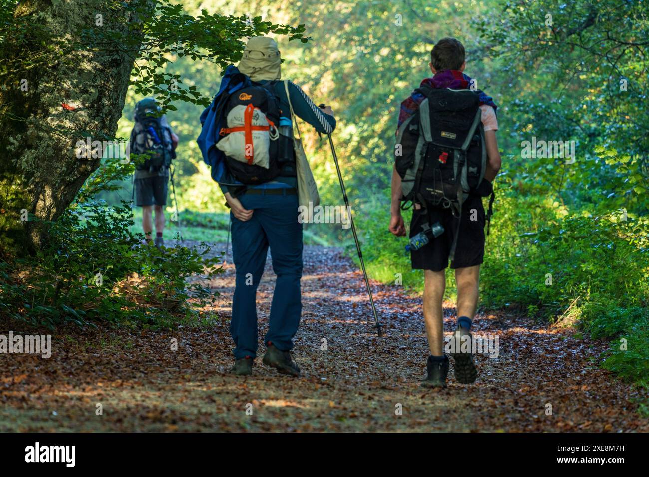 Pilgrims walking on the path Stock Photo - Alamy