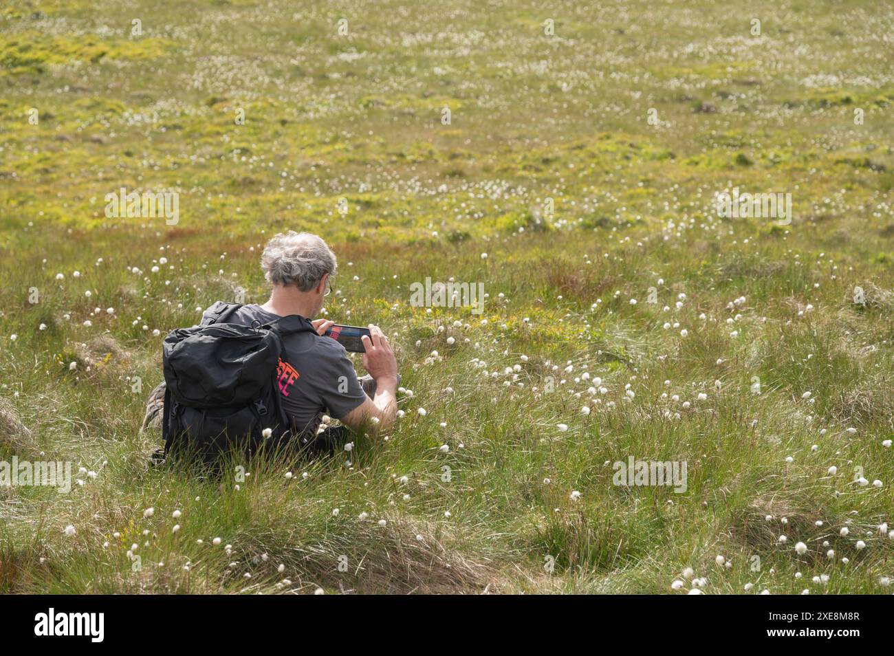 Man sitting down taing photographs of common cotton grass on Waun Fach ...