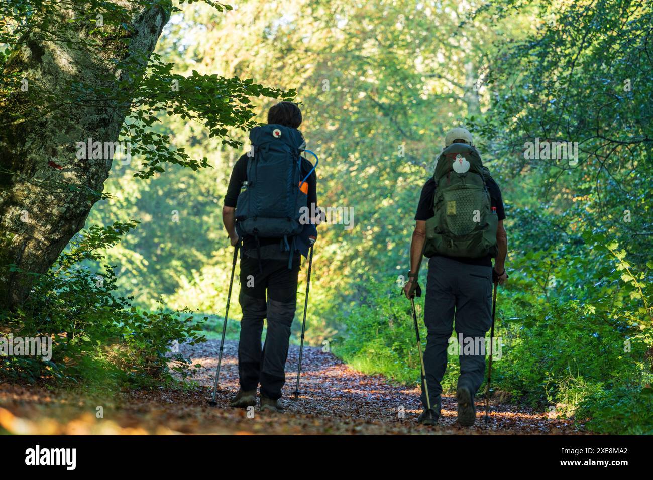Pilgrims walking on the path Stock Photo - Alamy