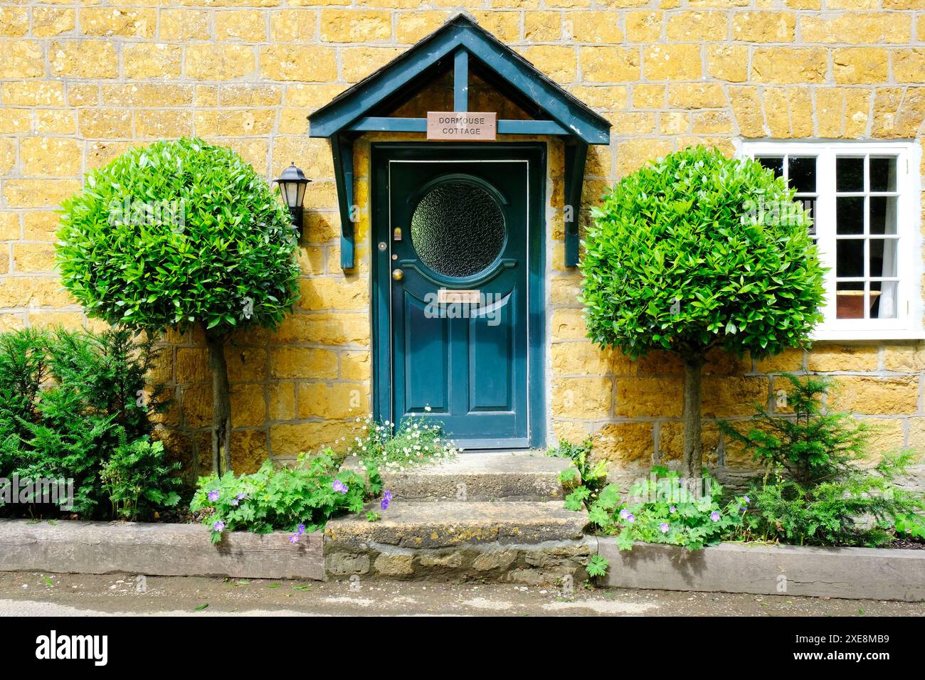 Front entrance door with standard tree hi-res stock photography and ...
