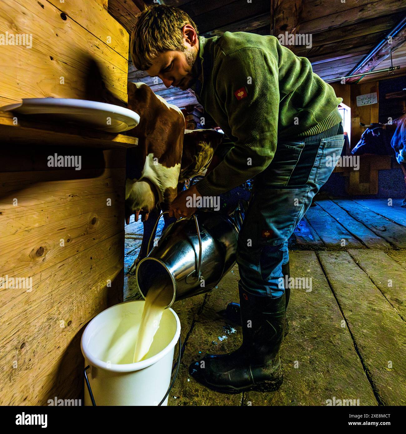 Alpine farmer Manfred Huber pours fresh milk from the milking bucket ...