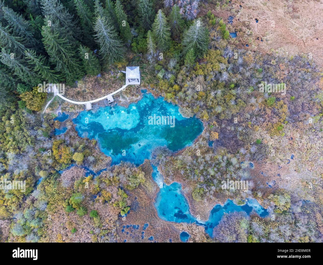 Zelenci park hi-res stock photography and images - Alamy