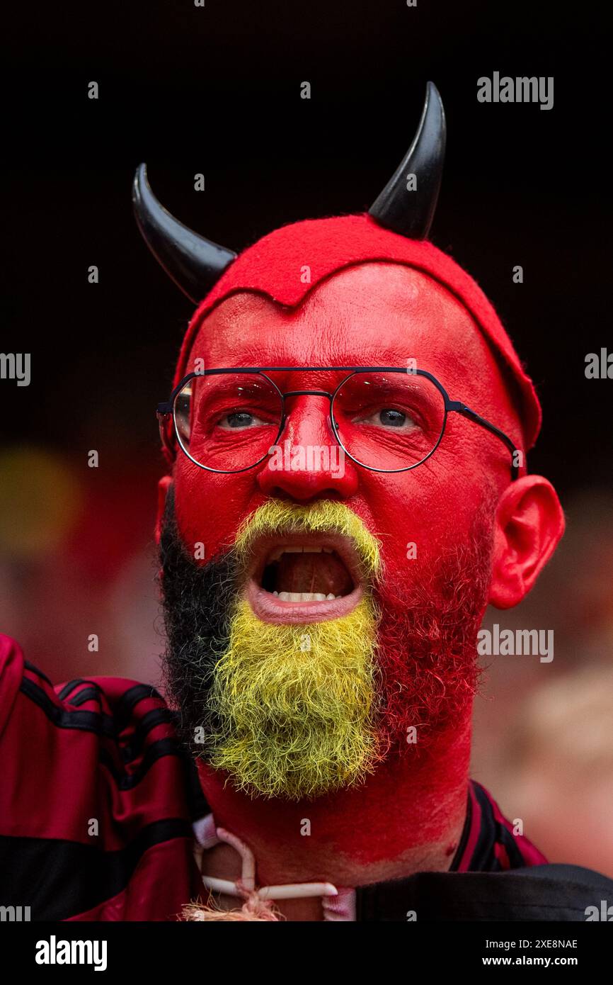 Fan von Belgien mit geschminktem Gesicht als Red Devil, GER, Ukraine ...