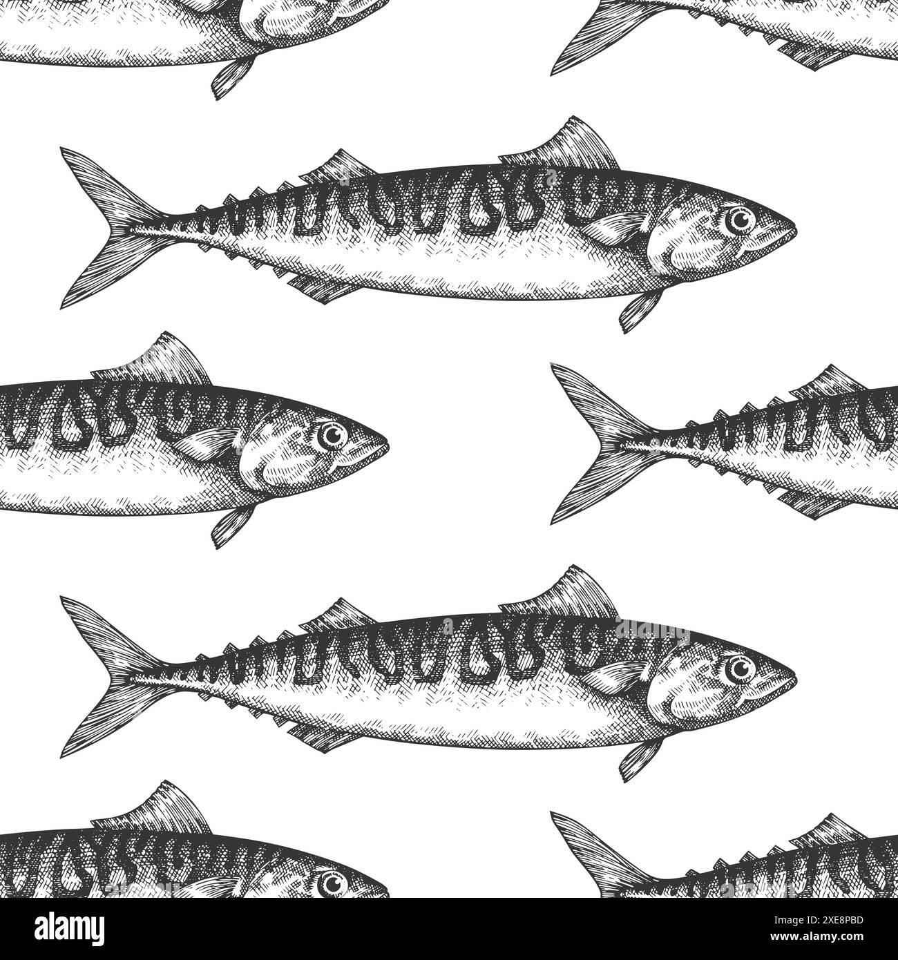 Vintage Style Mackerel Seamless Pattern. Vector Hand Drawn Fish ...