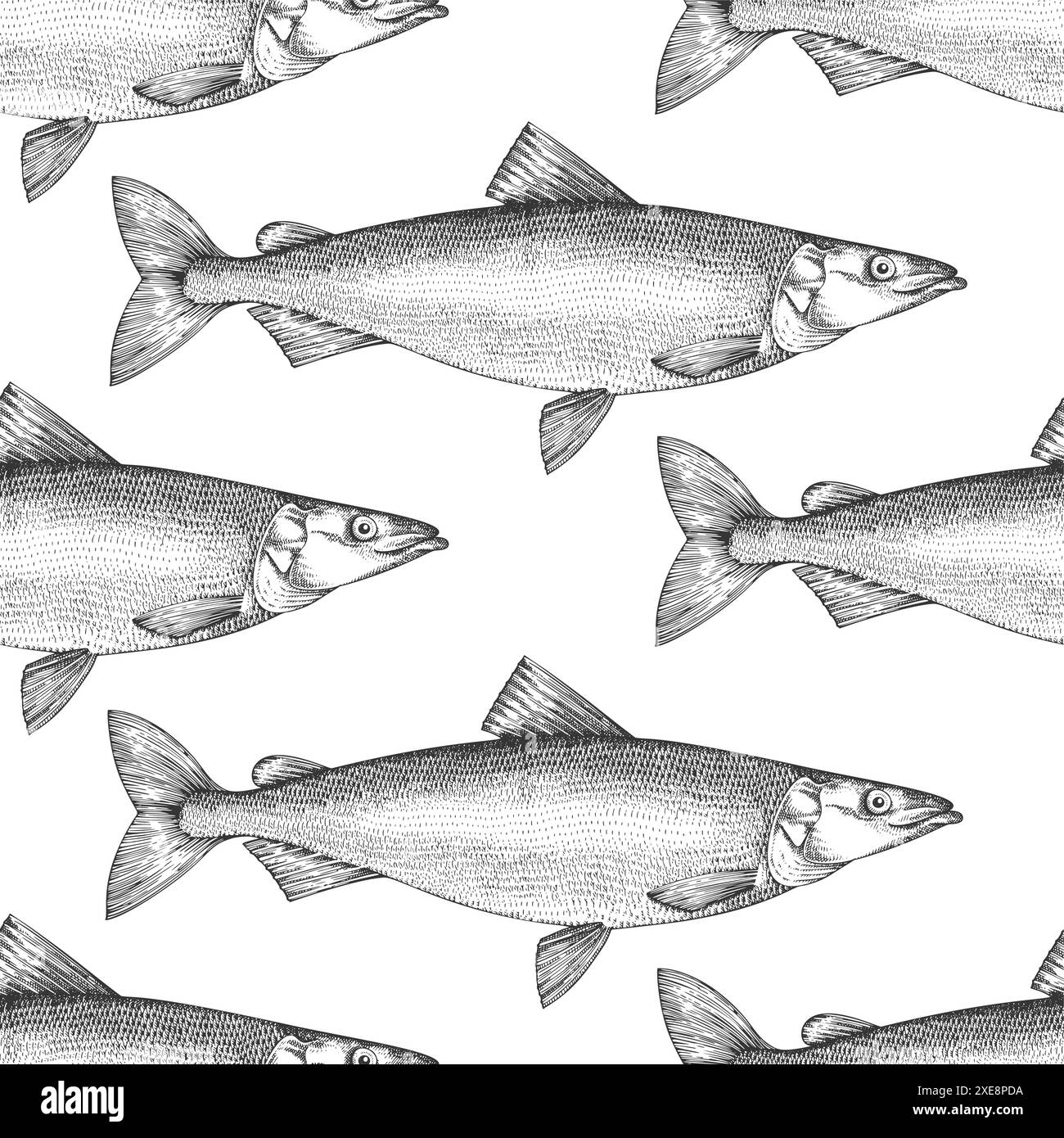 Vintage Style Sheatfish Seamless Pattern. Vector Hand Drawn Fish ...