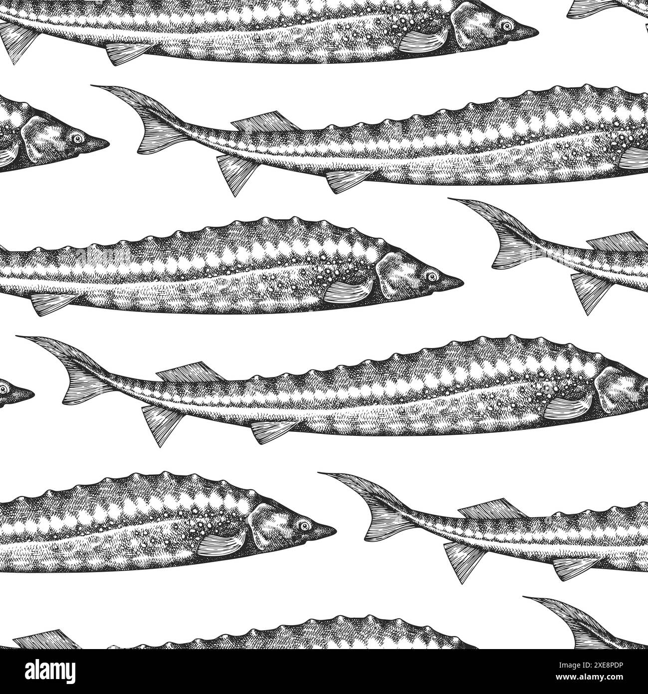 Vintage Style Sturgeon Seamless Pattern. Vector Hand Drawn Fish ...
