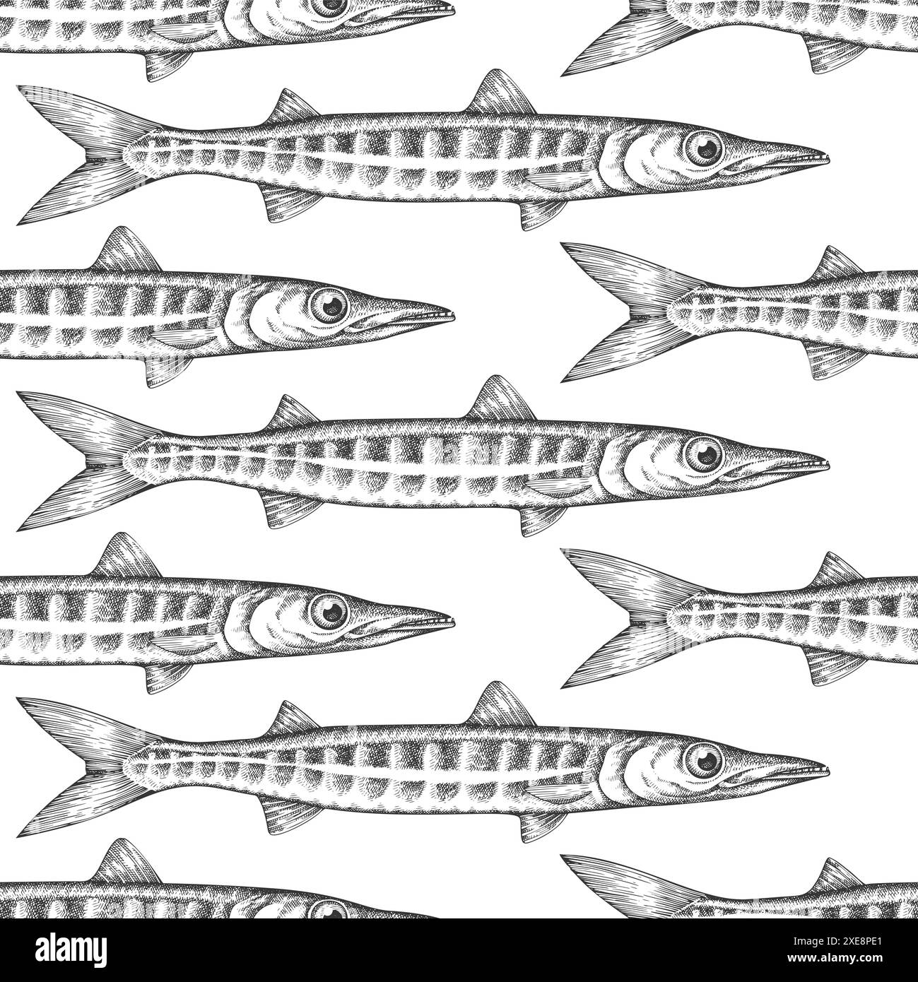 Vintage Style Barracuda Seamless Pattern. Vector Hand Drawn Fish ...
