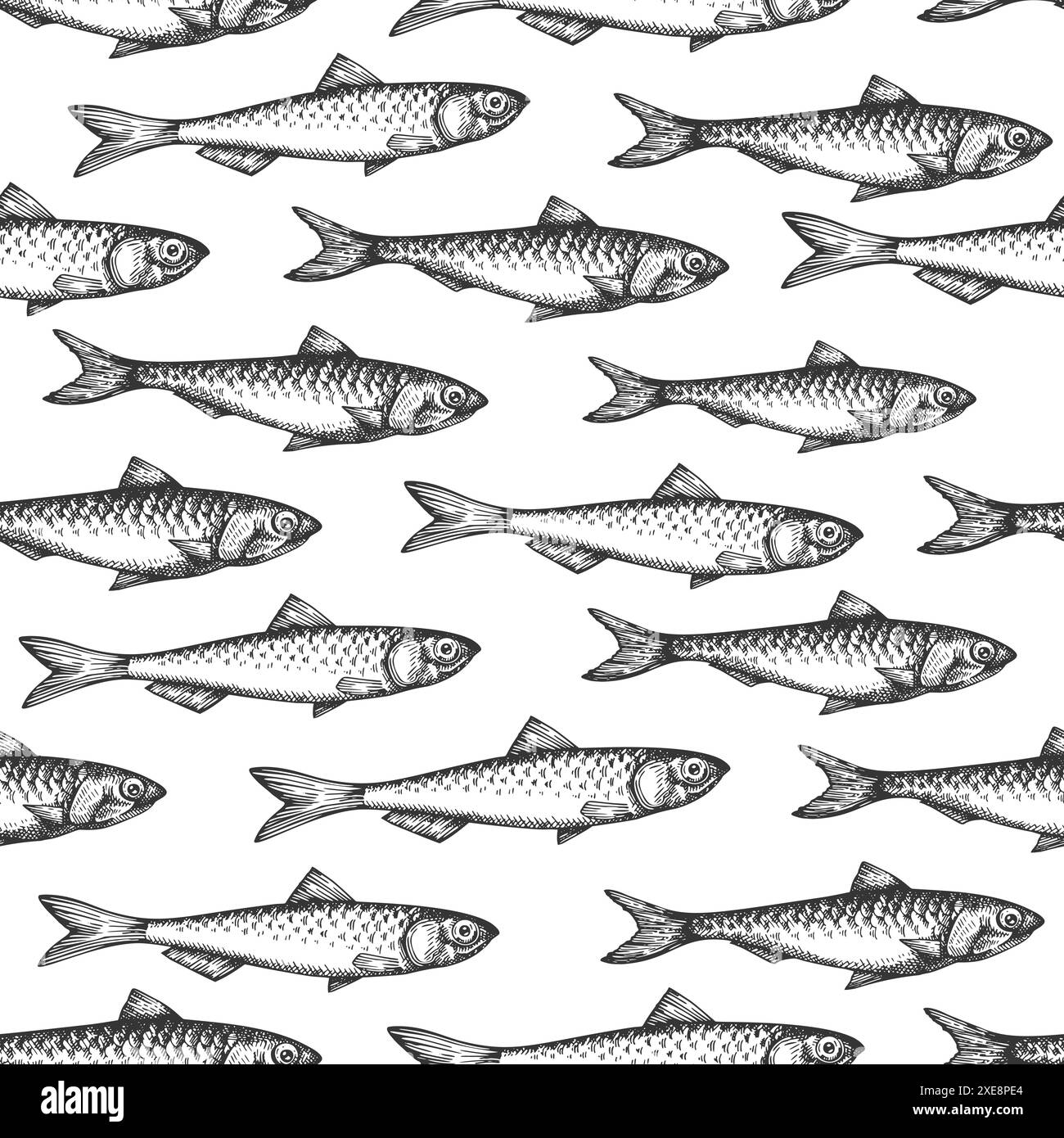 Vintage Style Anchovy Seamless Pattern. Vector Hand Drawn Fish ...