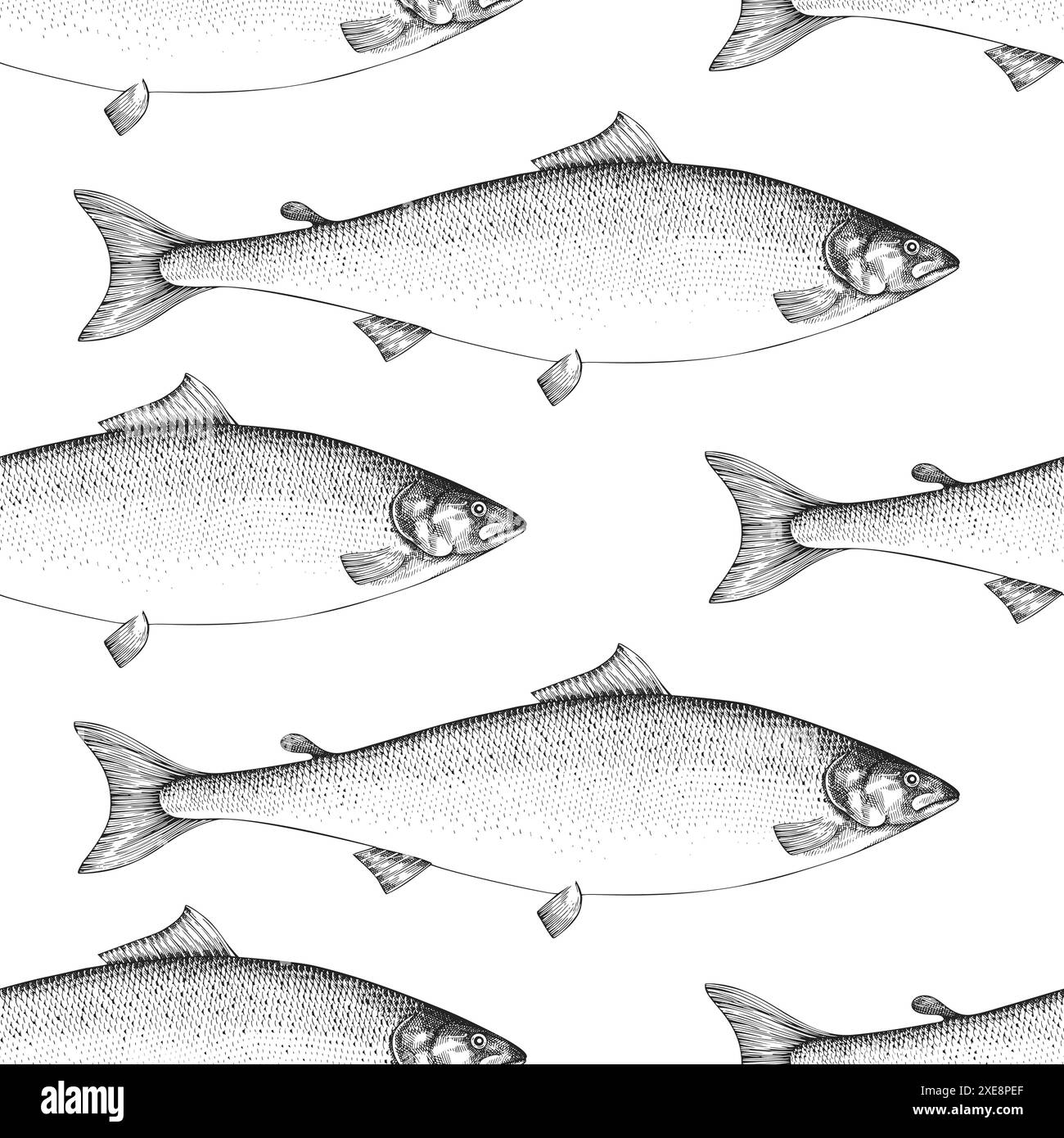 Vintage Style Salmon Seamless Pattern. Vector Hand Drawn Fish ...