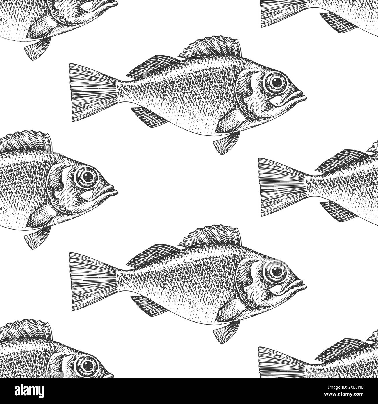 Vintage Style Perch Seamless Pattern. Vector Hand Drawn Fish Background ...