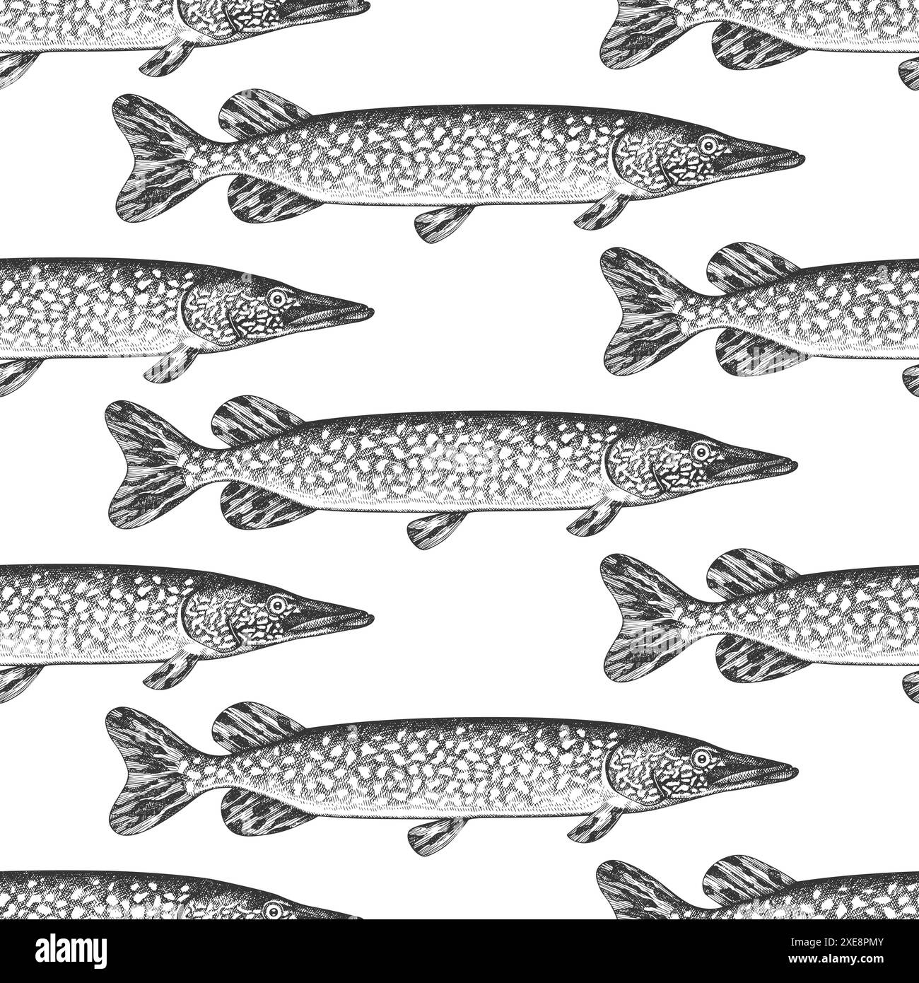Vintage Style Pike Seamless Pattern. Vector Hand Drawn Fish Background ...